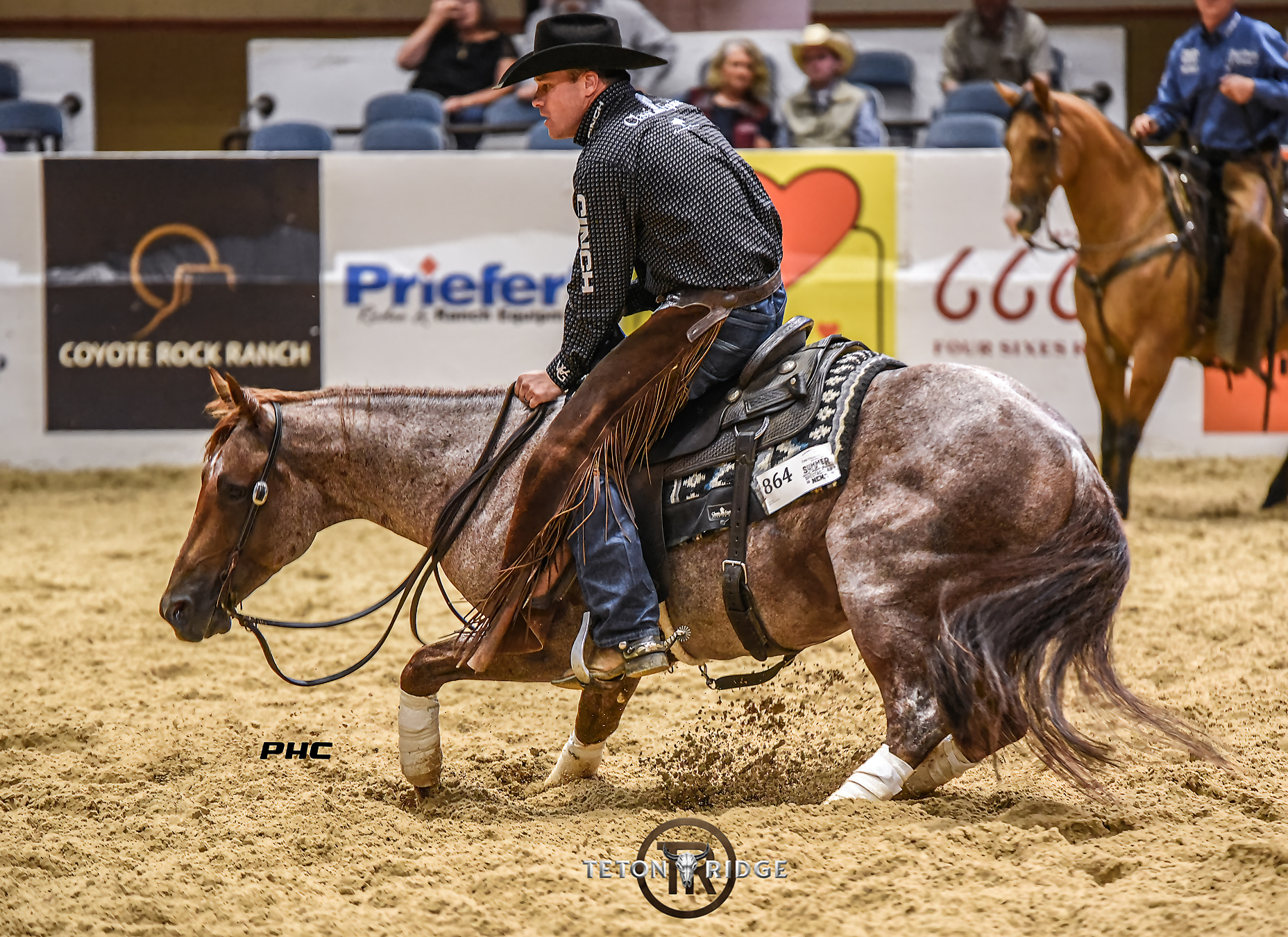 Teton Ridge welcomes THIRD EDGE into their world class breeding program